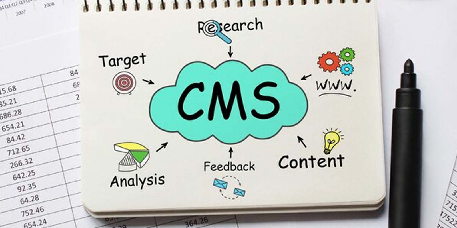 Choose the CMS: Headless vs. Traditional for Your Business Needs